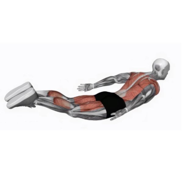 Superman Bras arrière - Coach en Métabolique Nutrition et habitude de vie